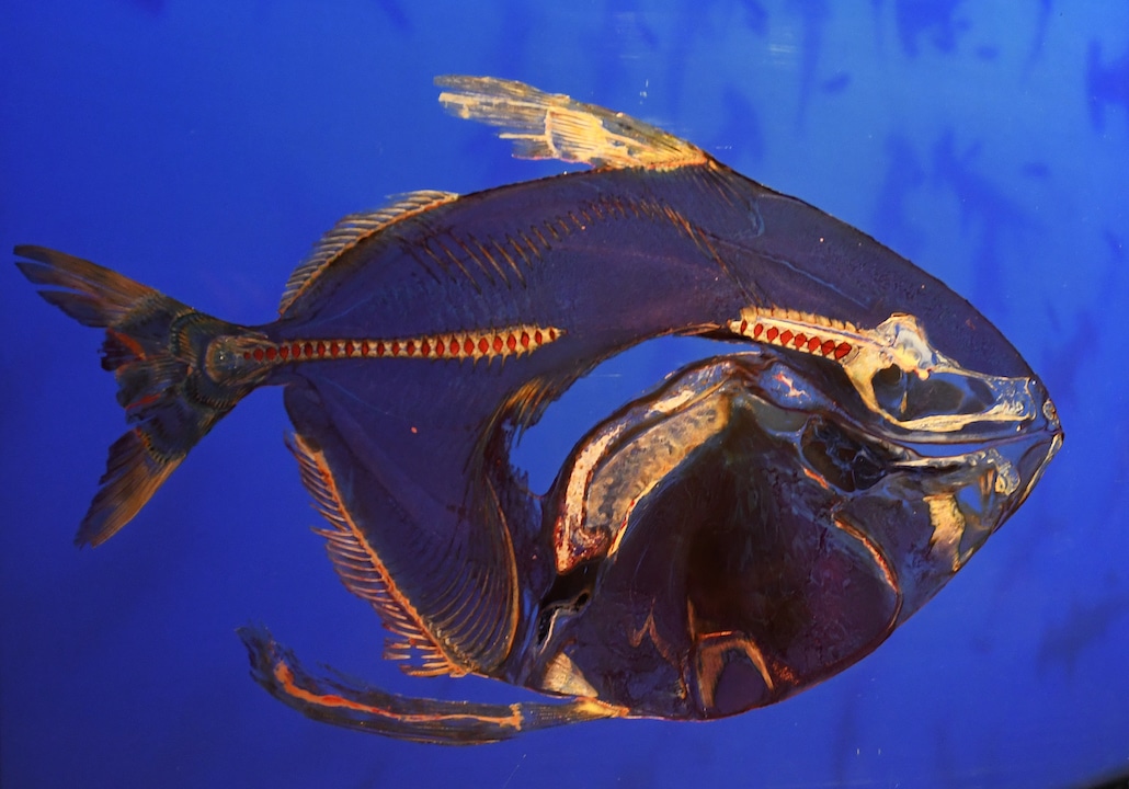 Le foto più belle del 30 novembre | TPI