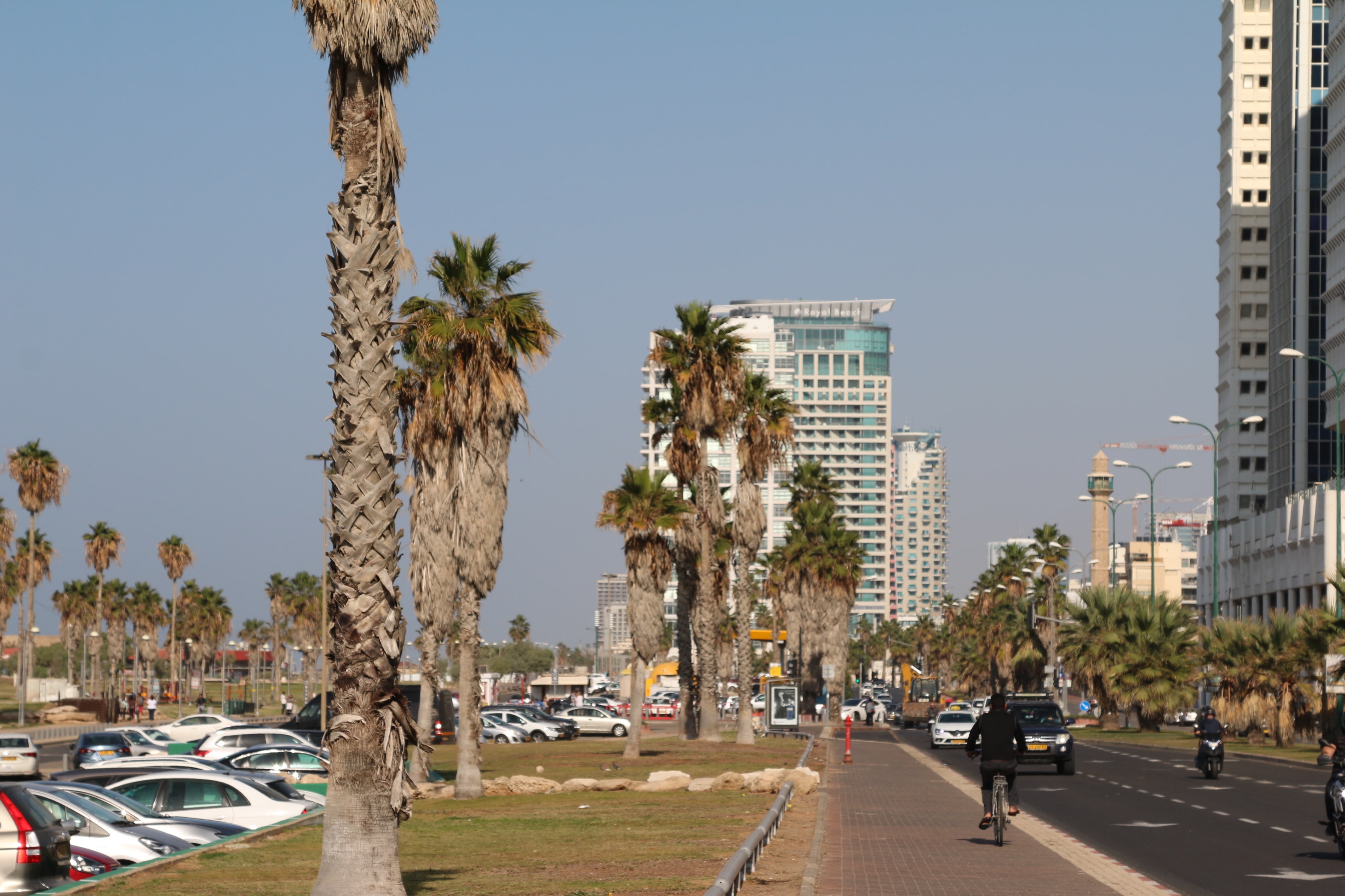 Tel aviv: cosa vedere in 3 giorni | Dove mangiare | Dove andare