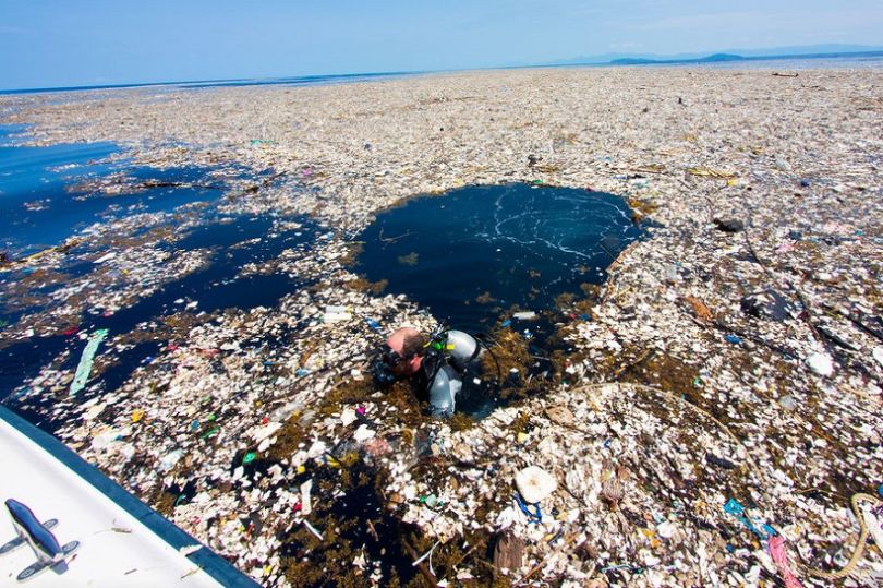 L'isola di plastica nell'oceano Pacifico grande tre volte la Francia