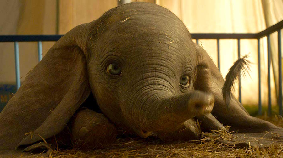 Dumbo Tim Burton, il trailer italiano del film Disney | Uscita | Streaming