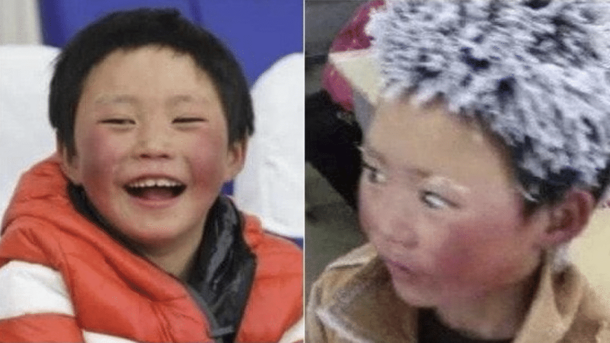 La sua foto ha commosso il mondo: ora Ice Boy ha una nuova vita