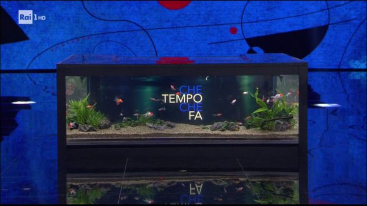 Che tempo che fa | Puntata domenica 3 febbraio | Ospiti e anticipazioni