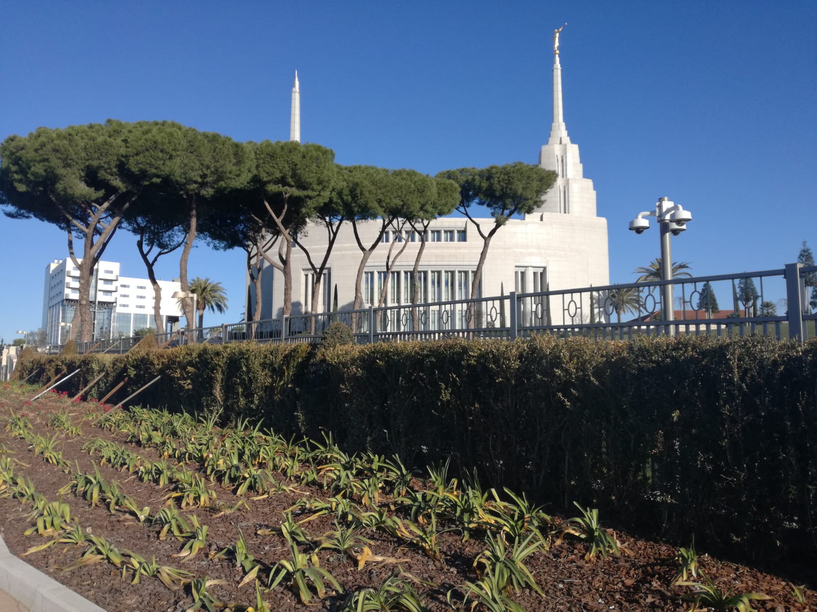 Mormoni Roma | Tempio mormone Roma Bufalotta | Visite | Indirizzo