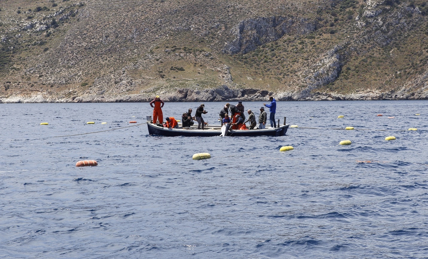 Riapre la tonnara di Favignana: Riapre la tonnara di Favignana: