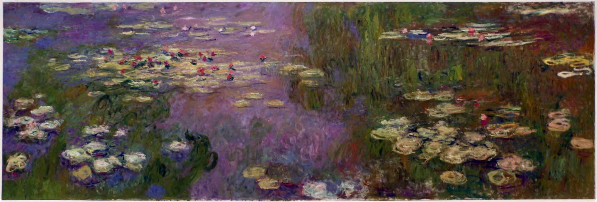 La scoperta in una tela di Monet: dietro i Glicini, altre Ninfee