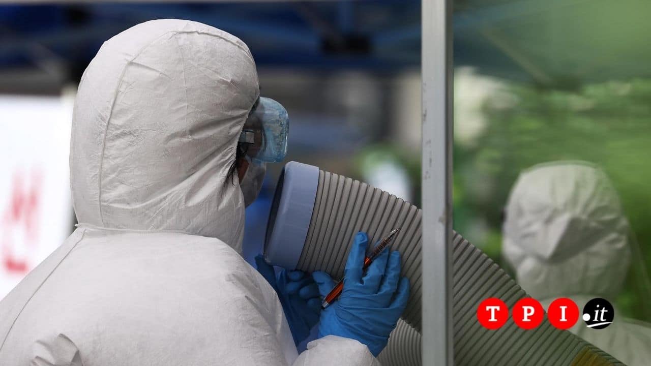 Usa, un caso di peste in California: non succedeva da 5 anni