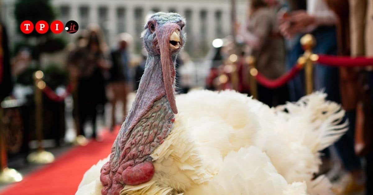 Giorno del Ringraziamento: 10 curiosità sul Thanksgiving Day
