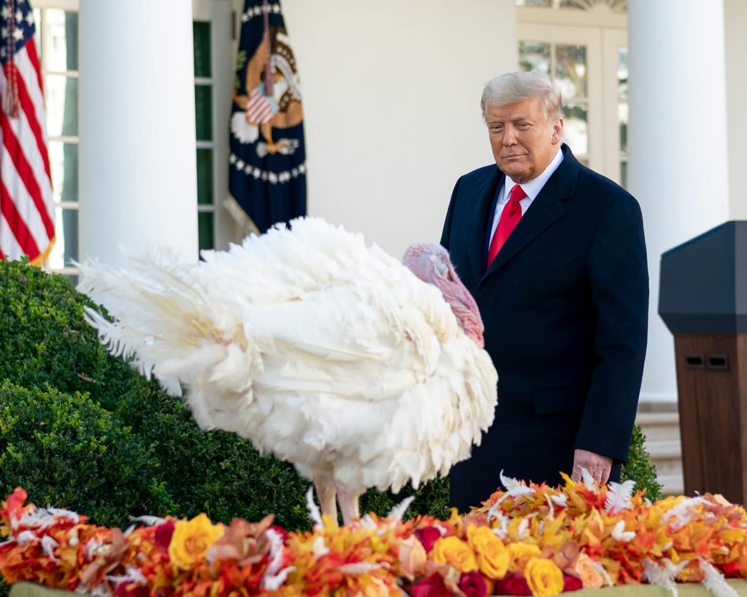 Giorno del Ringraziamento: 10 curiosità sul Thanksgiving Day