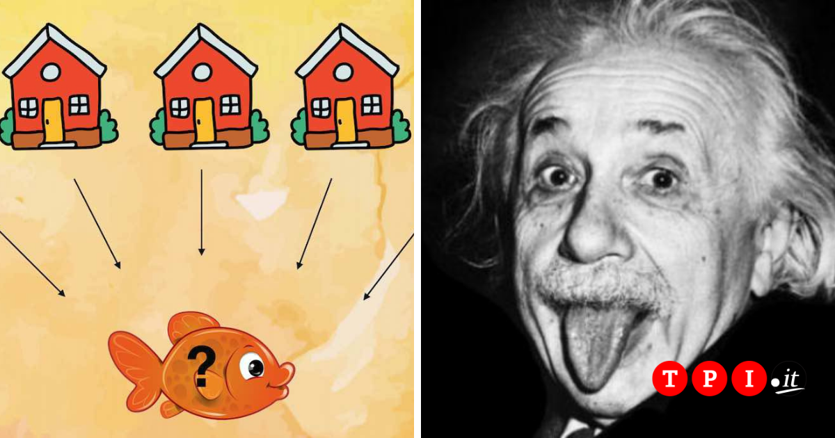 L'enigma di Einstein: solo il 2% della popolazione riesce a risolverlo L'enigma di Einstein: solo il 2% della popolazione riesce a risolverlo