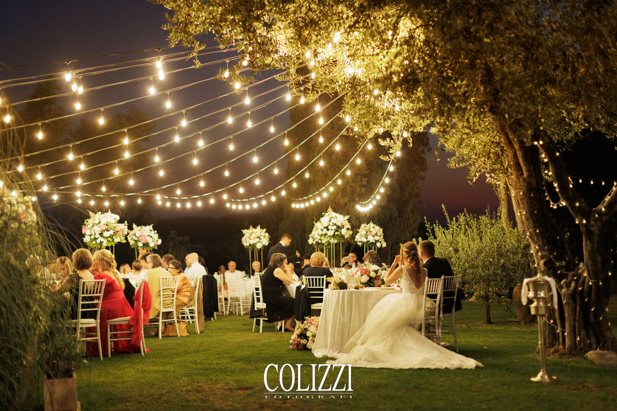 Al via la nuova app di Colizzi Fotografi | TPI