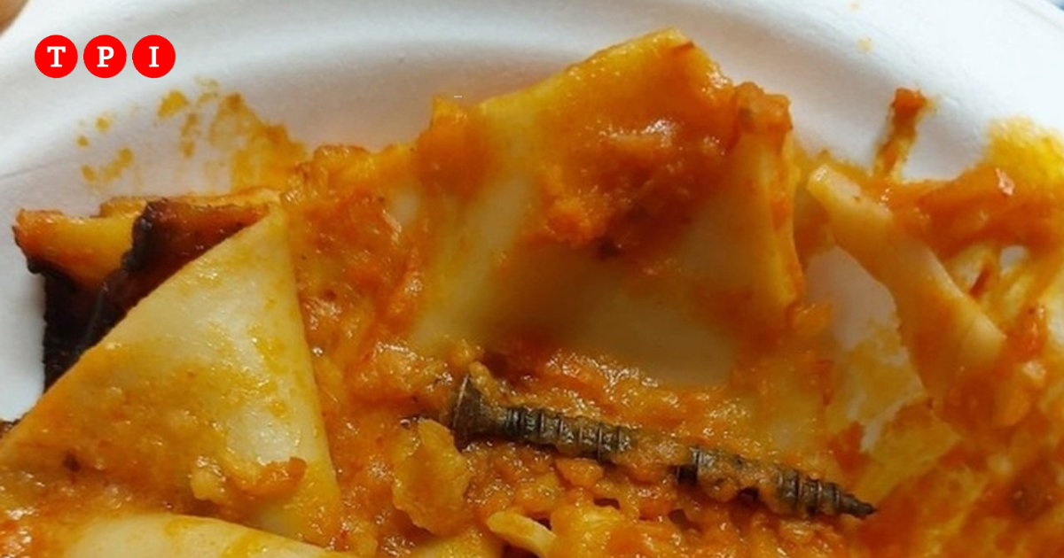 Monterotondo, trovato un chiodo nel piatto dei bambini: sospese le mense
