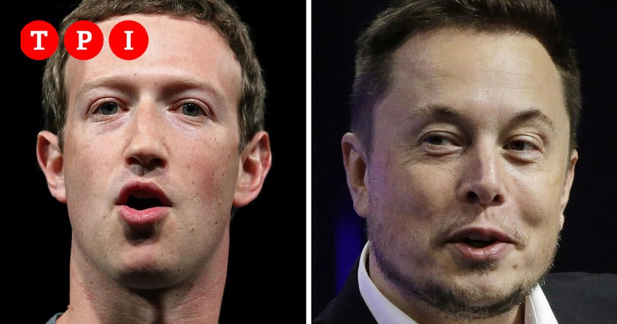 Musk contro Zuckerberg, salta l'incontro: "Mark ha rifiutato l'offerta"