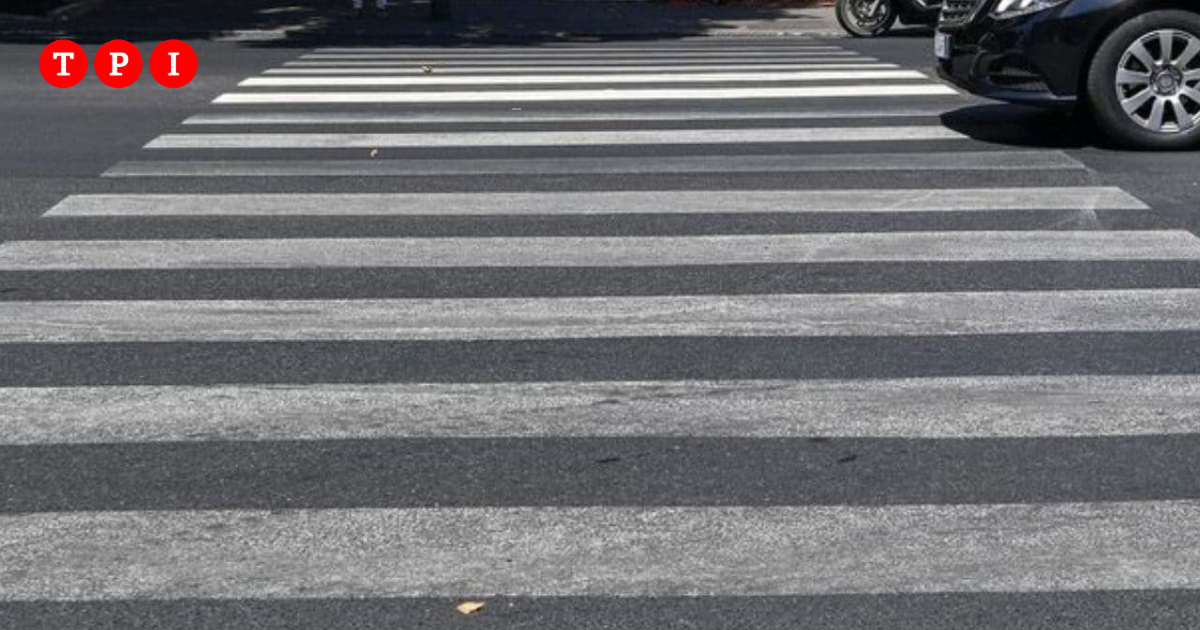 Investito sulle strisce da un’auto pirata: il cane torna a casa e lo fa ...
